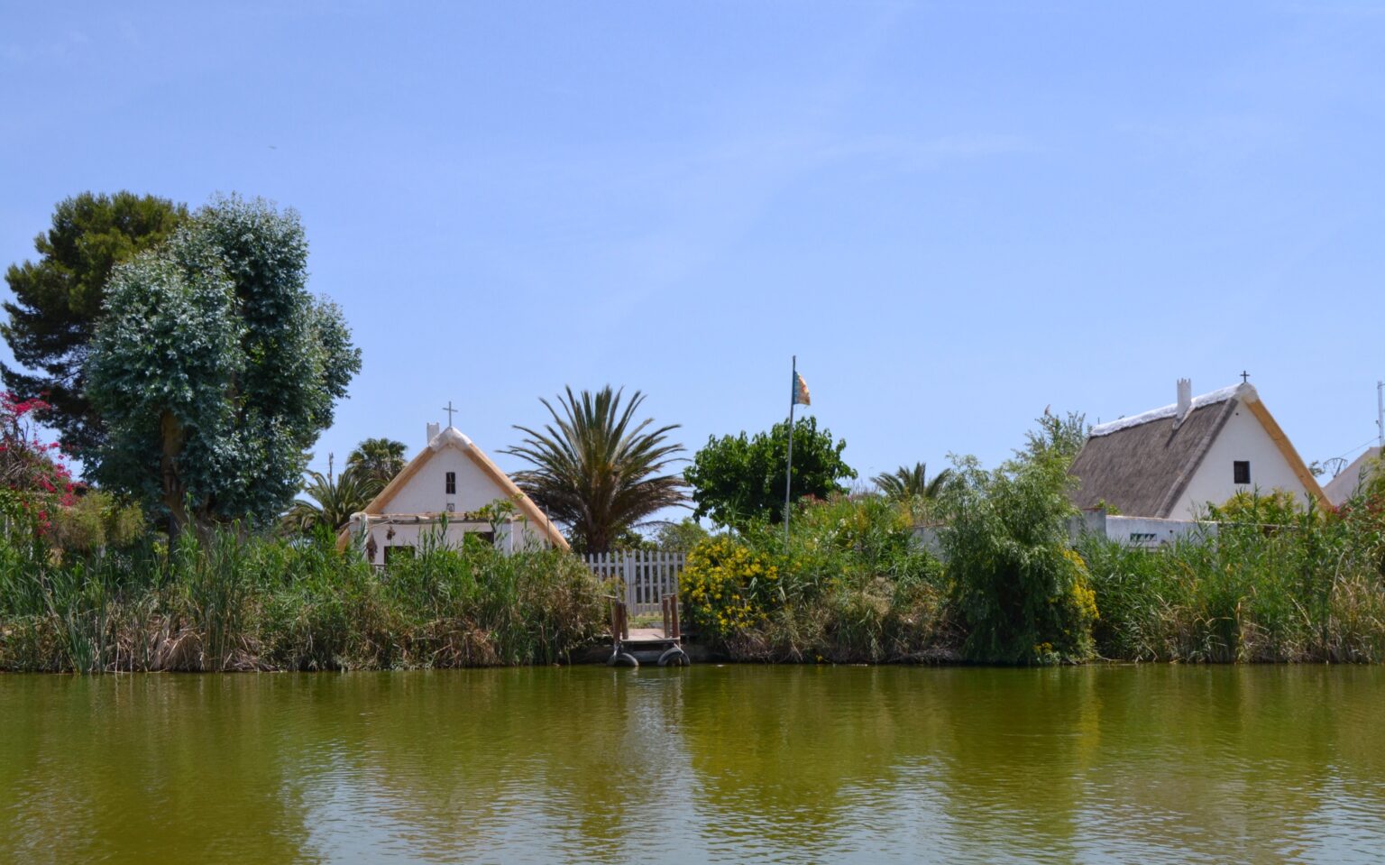 Albufera Degradation: A Certain Disposition, Prevailing In The Wind ...