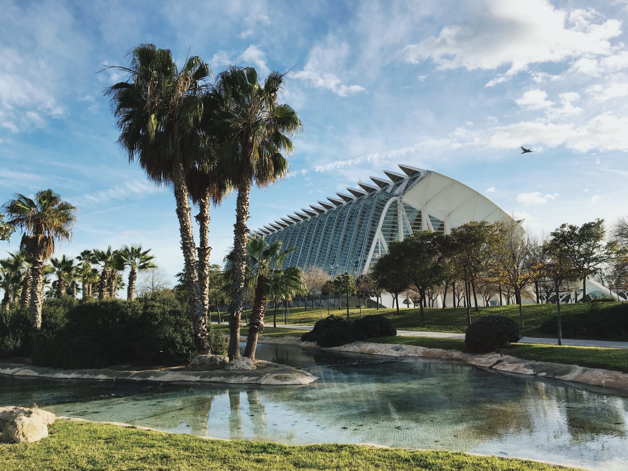 The Globexs Guide to Moving to Valencia: All You Need to Know ...