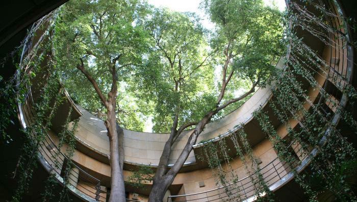 Valencia's Botanical Gardens: Why You Should Visit | Valencia Life