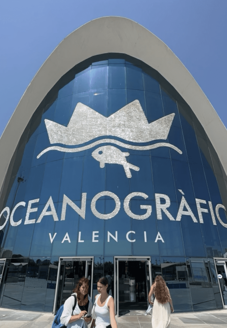 Visit l'Oceanografic, Spain's largest aquarium, in Valencia | Valencia Life