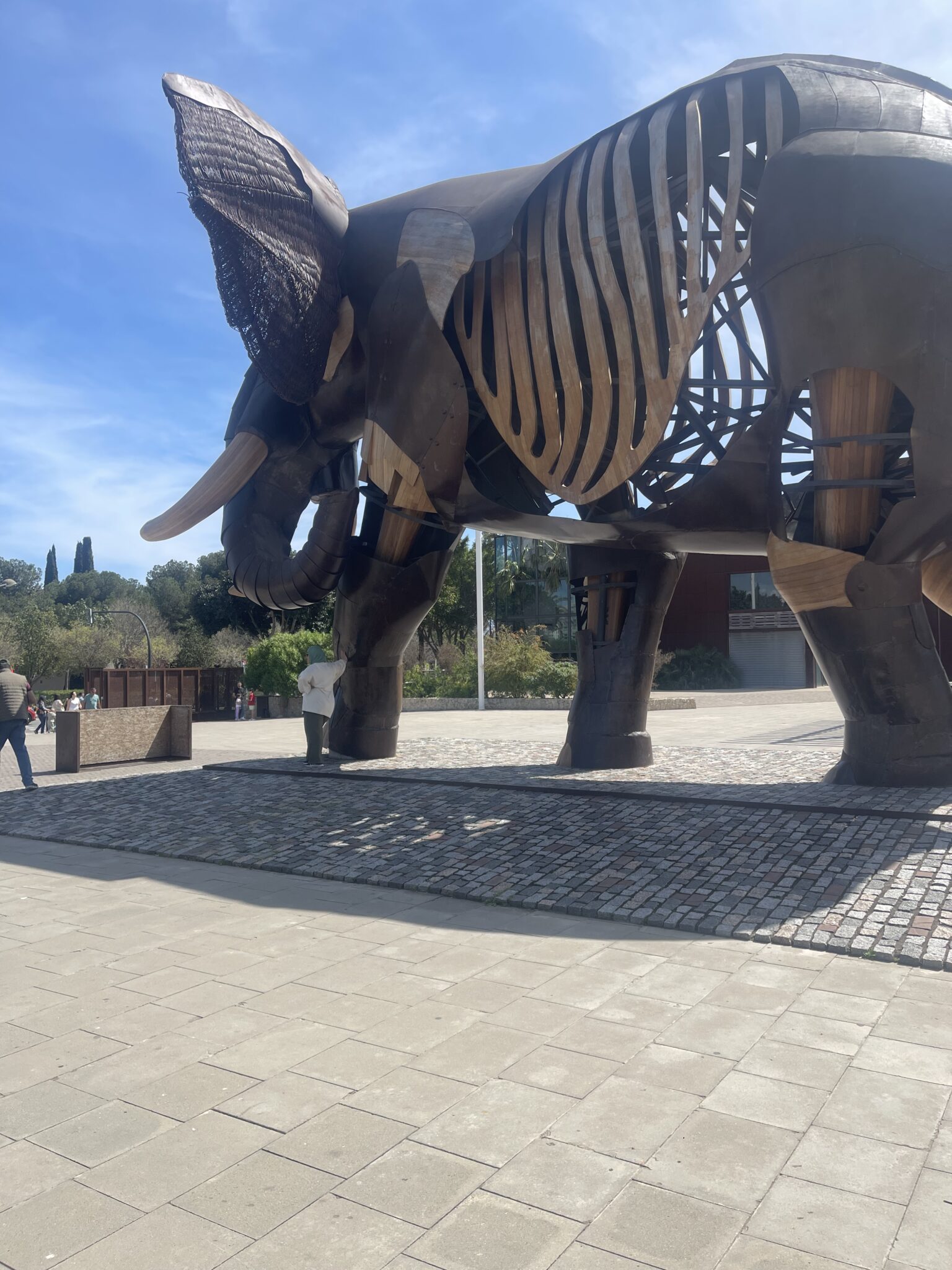 See wild animals in their natural habitat at Bioparc Valencia ...